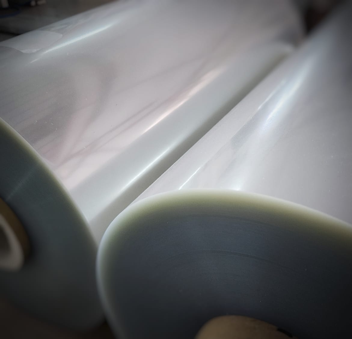 Polyester Film